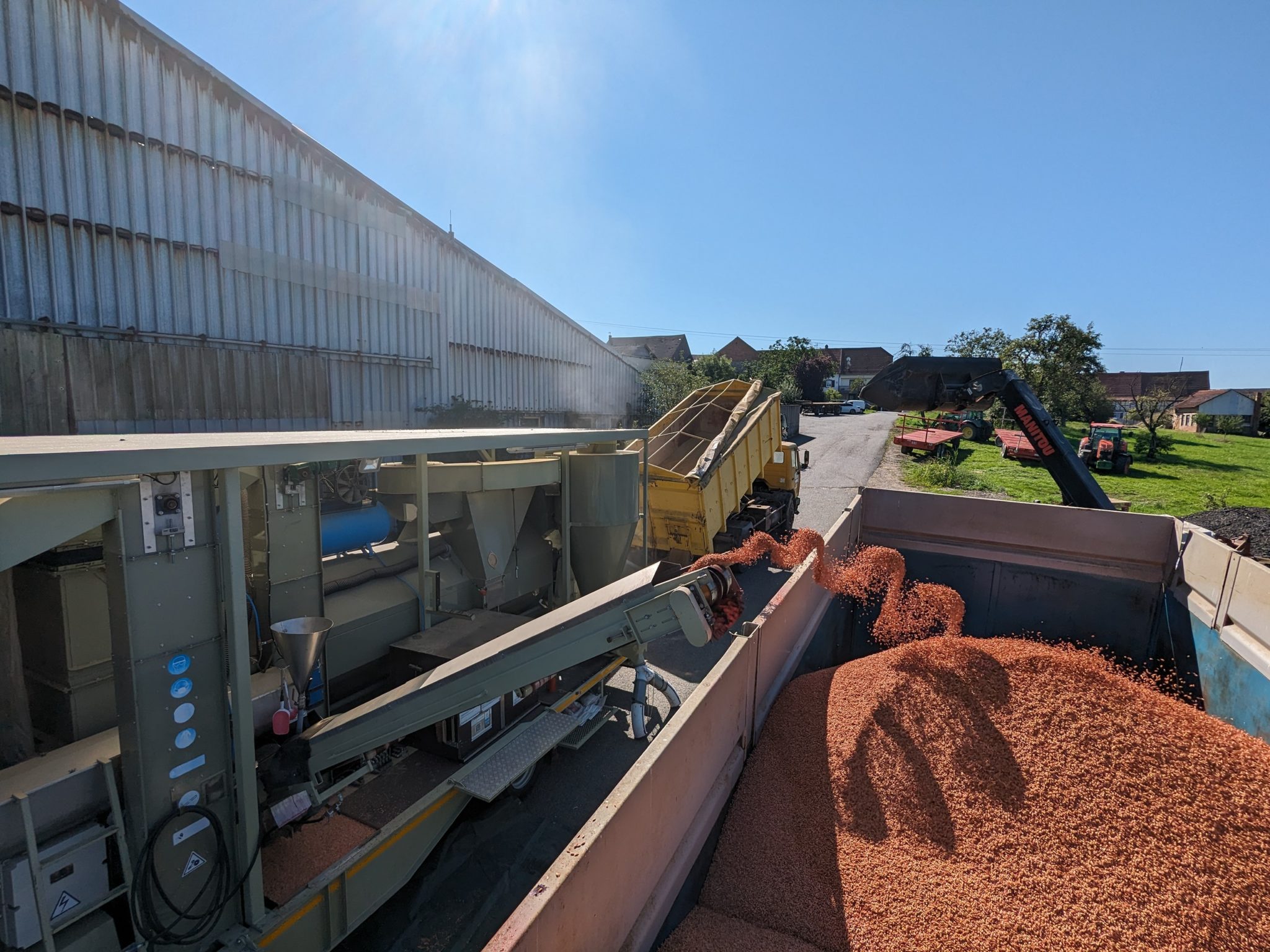 Triage des semences en agriculture conventionnelle